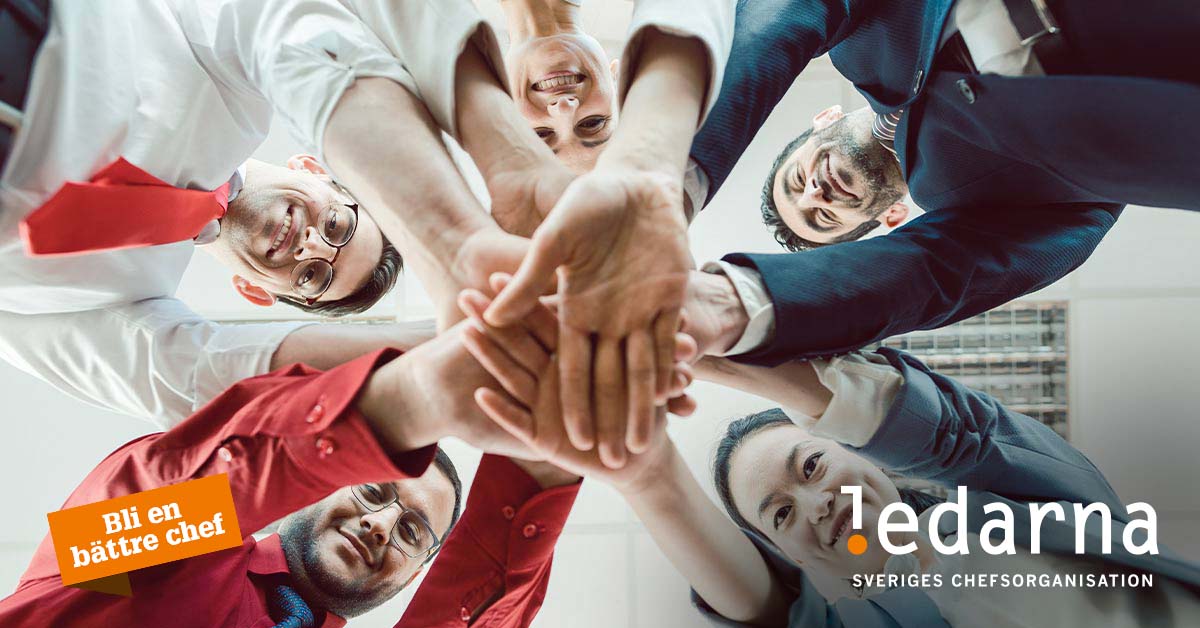 Lönesamtal | Ledarna