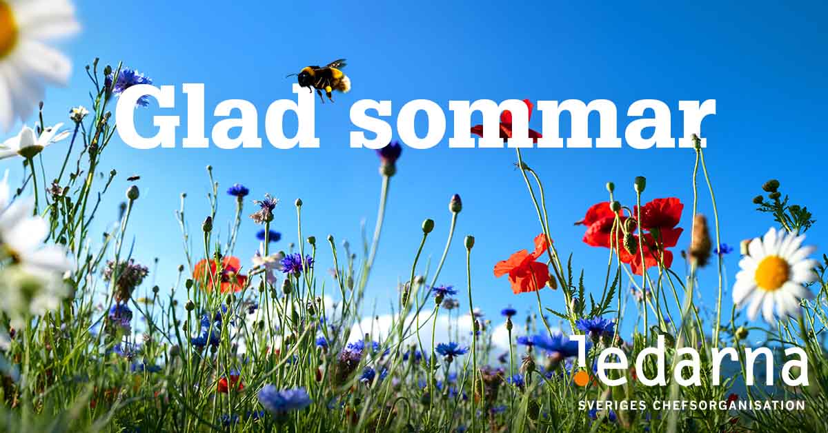 Sommartider på Ledarna | Ledarna